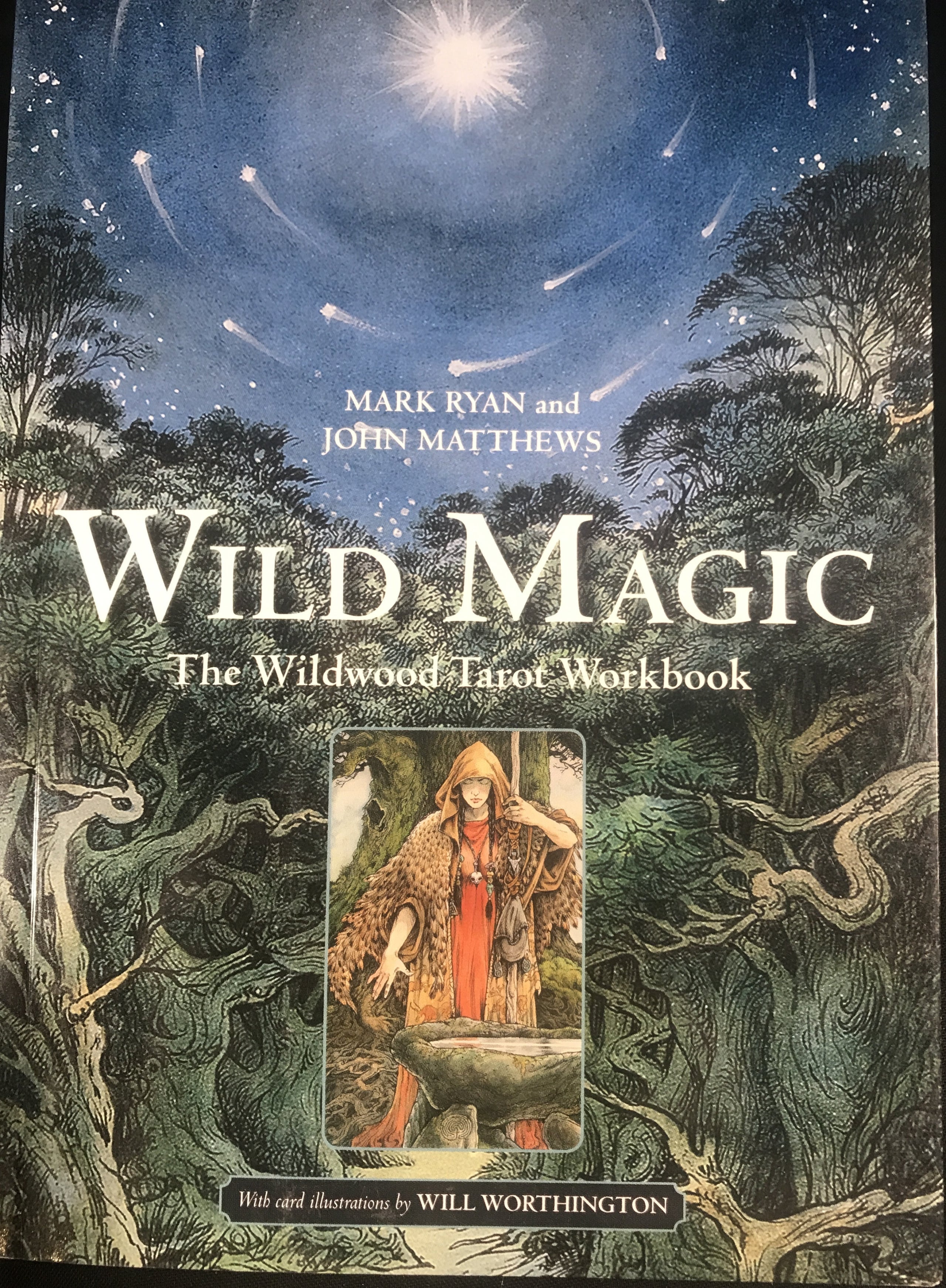 WILD MAGIC: The Wildwood Tarot Workbook | Imagicka!